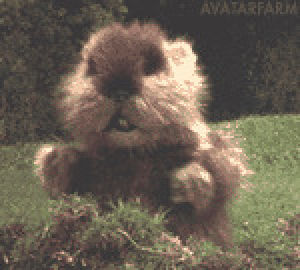 Caddyshack Gopher Gif