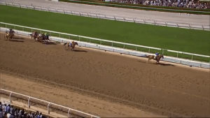 GIF horse racing kentucky derby horses - animated GIF on GIFER - by Nawyn