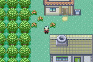 GIF pokemon emerald - animated GIF on GIFER