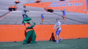 Florida gators floridagators GIF - Find on GIFER
