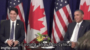 GIF justin trudeau - animated GIF on GIFER
