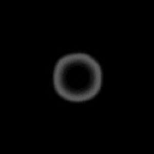 GIF js - animated GIF on GIFER