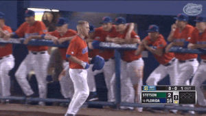 Florida gators floridagators GIF - Find on GIFER