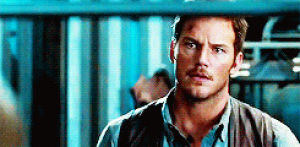 A walk in the woods GIF - Find on GIFER