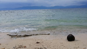 Hawaii beach aloha GIF on GIFER - by Meztikree