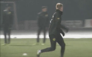 Bvb borussia dortmund marco reus GIF - Find on GIFER