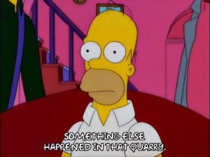 GIF homer simpson season 5 episode 15 - animated GIF on GIFER