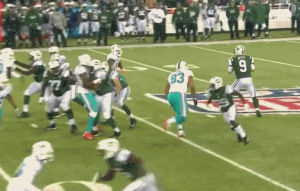 GIF miami dolphins - animated GIF on GIFER
