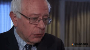 GIF feel the bern - animated GIF on GIFER