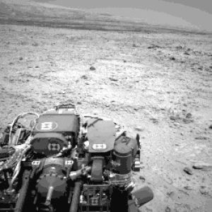 Curiosity GIF - Find on GIFER