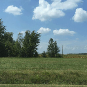 Field GIF - Find on GIFER