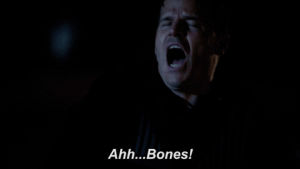Seeley booth bones GIF - Find on GIFER