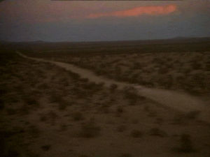 GIF texas - animated GIF on GIFER - by Aragelv
