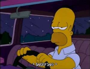 GIF homer simpson episode 2 season 14 - animated GIF on GIFER