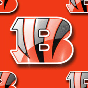 Nfl chicago bears GIF - Find on GIFER