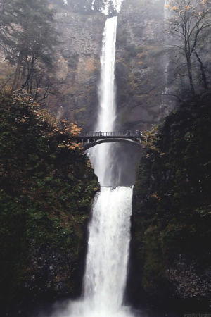 Falls GIF on GIFER - by Malolmeena
