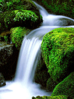GIF waterfall wasserfall cascade - animated GIF on GIFER - by Banius