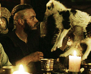 GIF ragnar lothbrok - animated GIF on GIFER