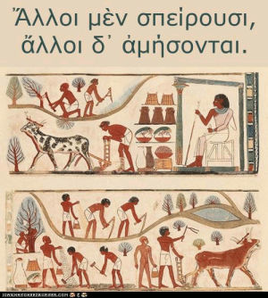 GIF latin - animated GIF on GIFER