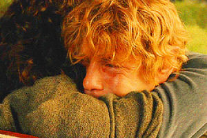 Sam the lord of the rings frodo GIF - Find on GIFER