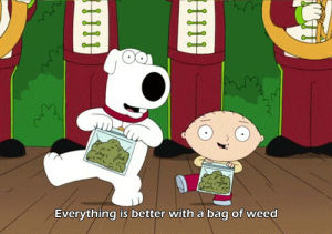 Stewie GIF - Find on GIFER