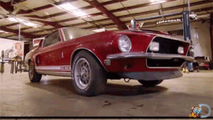 GIF discovery channel - animated GIF on GIFER