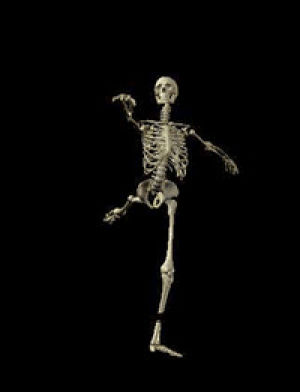 GIF dancing skeleton - animated GIF on GIFER
