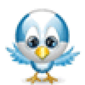 GIF vogel oiseau pajaro - animated GIF on GIFER