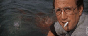 GIF left shark - animated GIF on GIFER