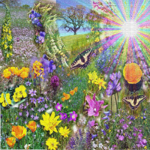 Scenery landschaft paysage GIF - Find on GIFER