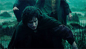 The lord of the rings frodo GIF on GIFER - by Dianafym