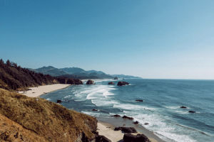 Oregon GIF - Find on GIFER