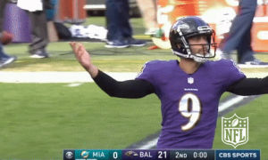 Baltimore ravens GIF - Find on GIFER