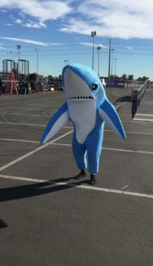 GIF left shark - animated GIF on GIFER