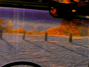 GIF bus driver stu - animated GIF on GIFER