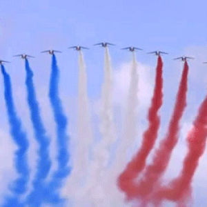 GIF independence day - animated GIF on GIFER