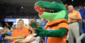 Florida gators floridagators GIF - Find on GIFER