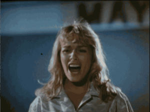 Cult personality GIF - Find on GIFER