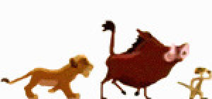 Timon GIF - Find on GIFER