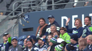 Crowd goes wild GIF - Find on GIFER