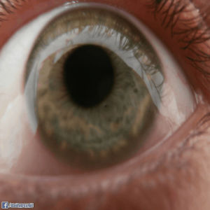 Trippy psychedelic liquid GIF on GIFER - by Felolune