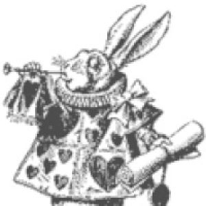 GIF white rabbit - animated GIF on GIFER