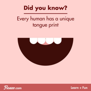 GIF 107 facts - animated GIF on GIFER