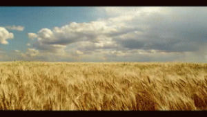 GIF blue sky - animated GIF on GIFER