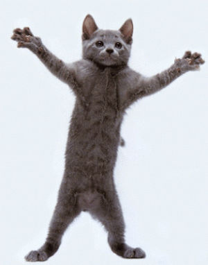 GIF download, downloading, mejores GIF animados descarga gratis