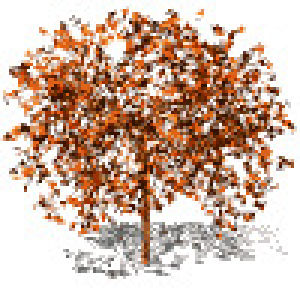 11th annual citadels tree lighting ceremony GIF - Find on GIFER