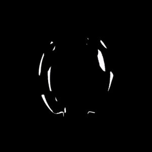 GIF after effects burst motion graphics - animated GIF on GIFER
