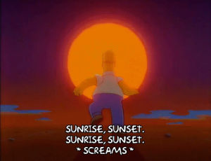 Season 8 episode 9 GIF - Find on GIFER