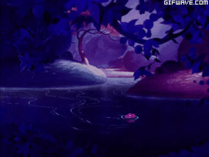 Fantasia disney shooting star GIF on GIFER - by Forgas
