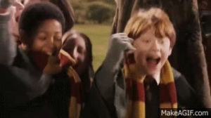 Harry potter and the philosophers stone GIF - Find on GIFER